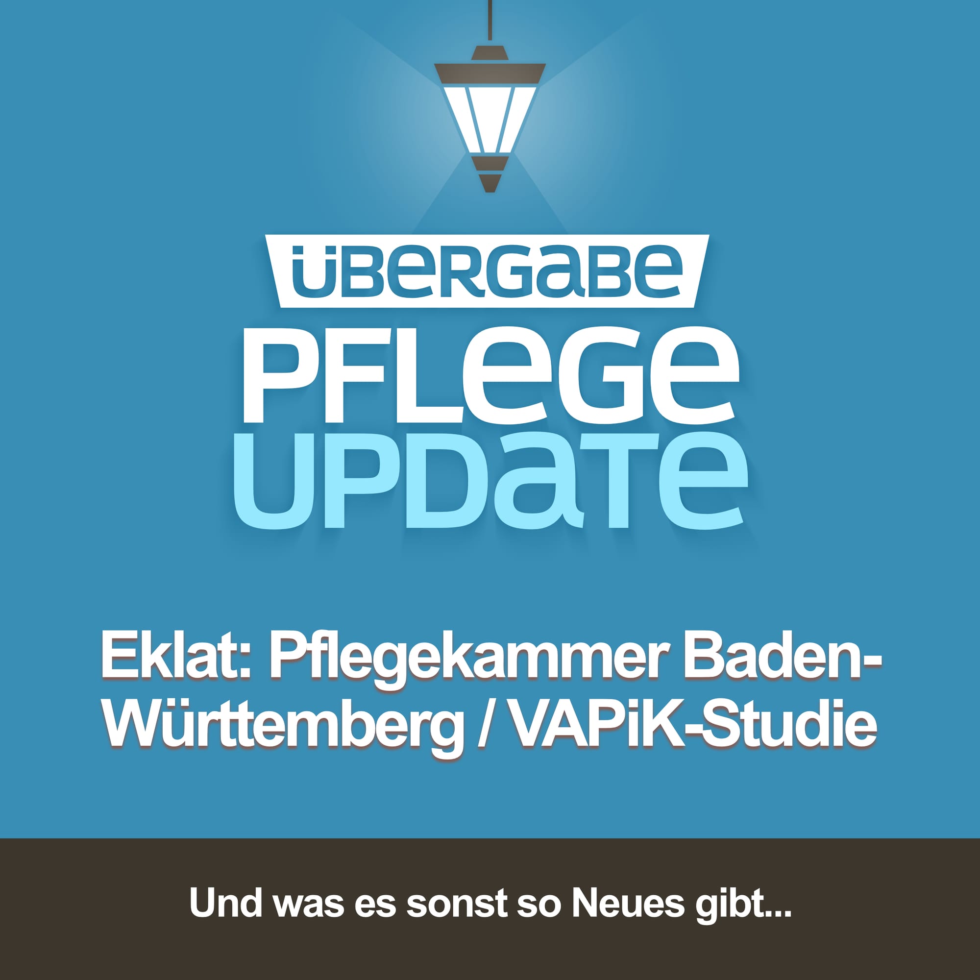 Übergabe | Eklat: Pflegekammer Baden-Württemberg / VAPiK-Studie